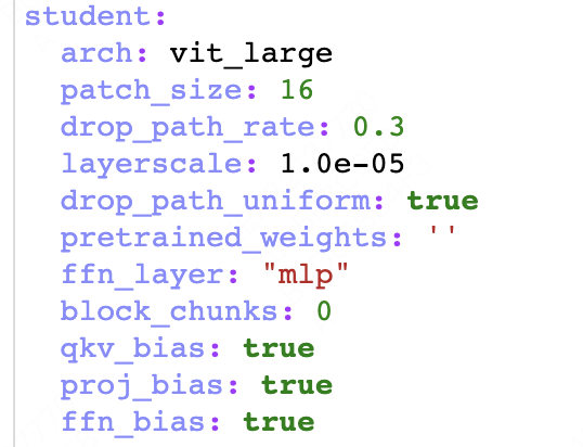 What do the following weights mean? · Issue #179 · facebookresearch/dinov2 · GitHub