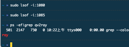 Mac big sur 下打开软件无响应 · Issue #1229 · Qv2ray/Qv2ray · GitHub
