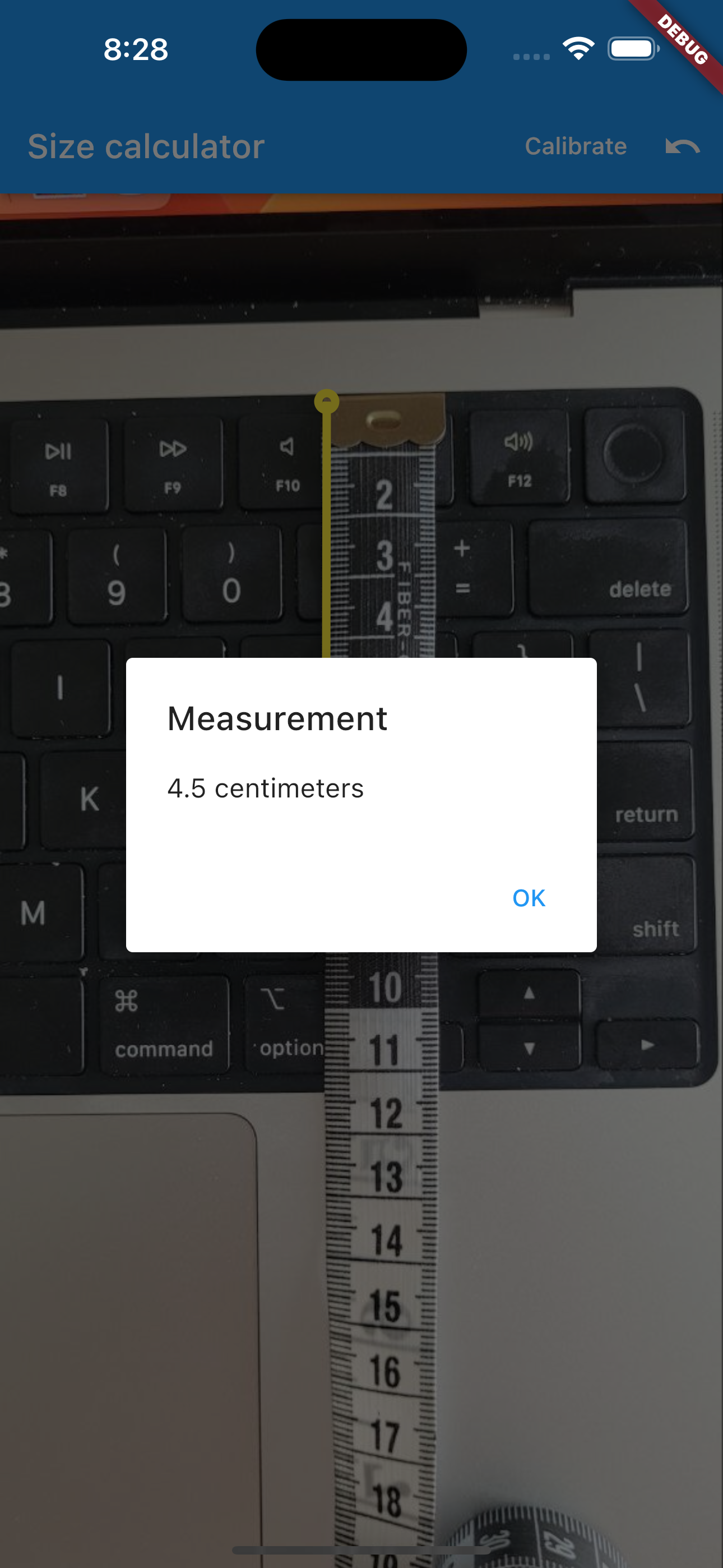 GitHub - douglasiacovelli/flutter_image_ruler