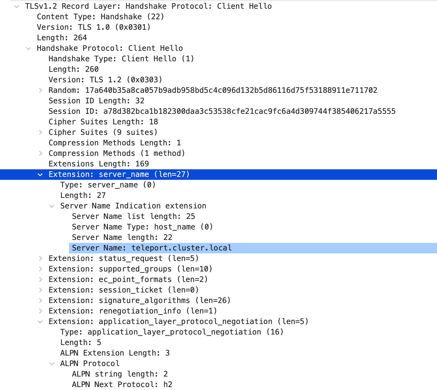 Certificate is valid for domain.teleport.example.com, teleport.example ...