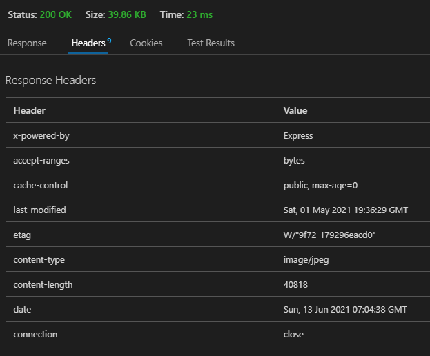Content Type Images are Shown In Binary Format and is Not Processed! · Issue #198 ...