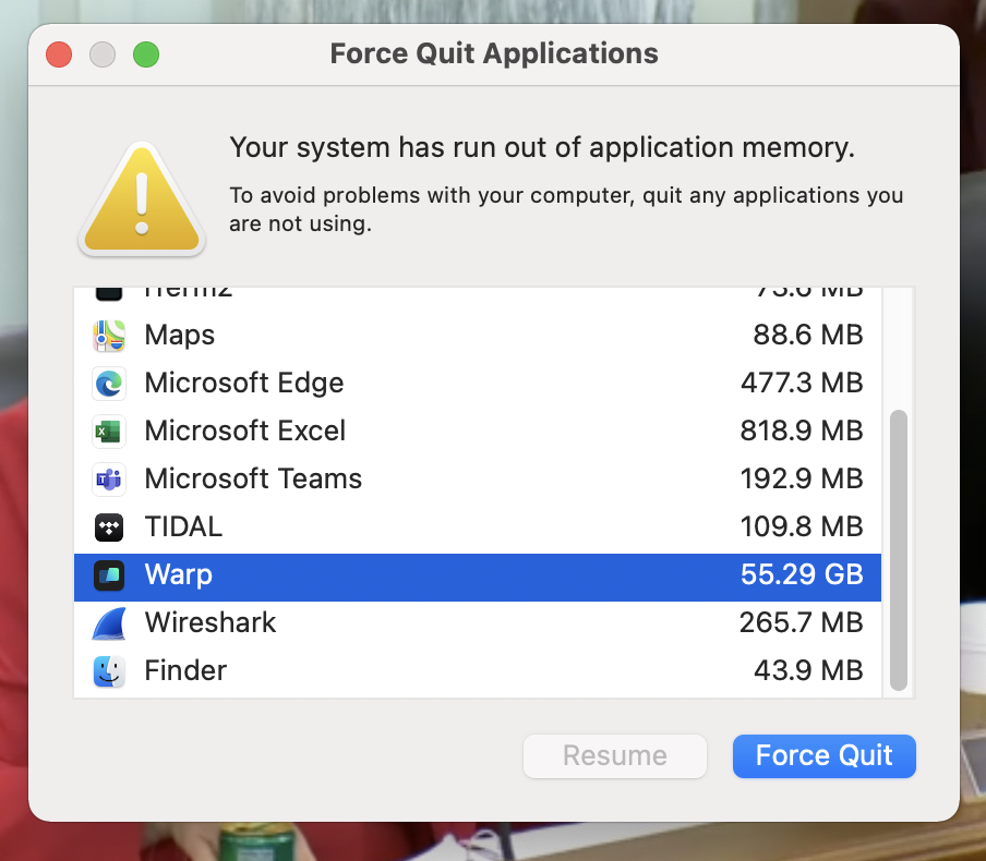 Core: Memory Leak · Issue #232 · warpdotdev/Warp · GitHub