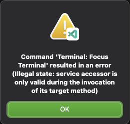 Focus terminal throws error "Illegal state: service accessor is only ...