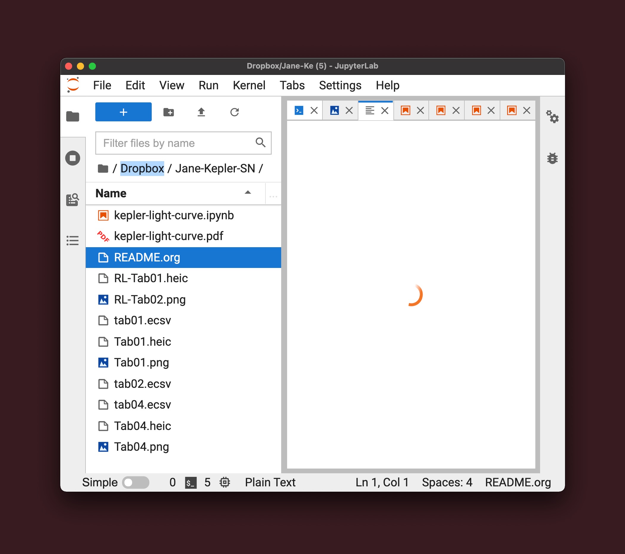 All Kernels In App Are Unresponsive After Wake From Sleep On Macos · Issue 282 · Jupyterlab