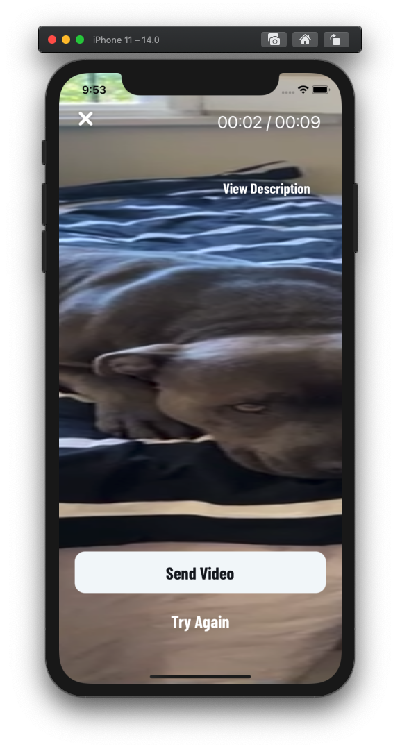 .MOV file portrait video displaying as landscape iOS 14 · Issue #2158 · TheWidlarzGroup/react ...