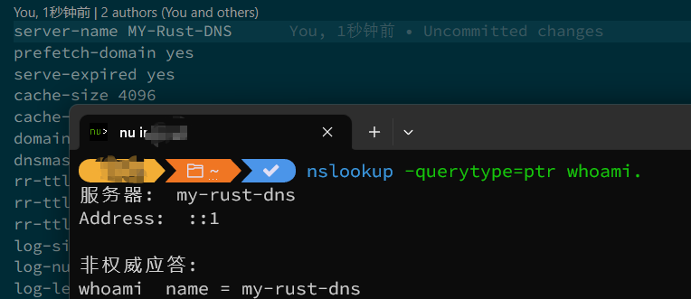 nslookup命令是否已经不能检测samrtdnsn的运行情况？ · Issue #161 · mokeyish/smartdns-rs · GitHub