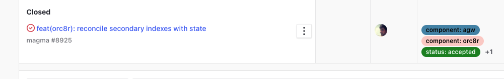 feat(orc8r): reconcile secondary indexes with state · Issue #8925 · magma/magma · GitHub