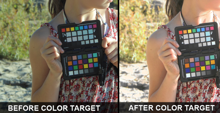 Add support for Neximage camera · Issue #68 · openastroproject/openastro · GitHub