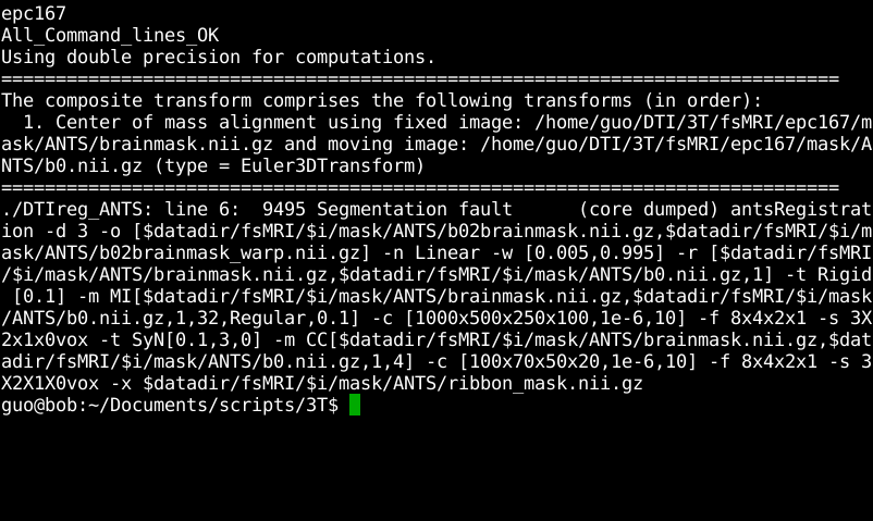 antsRegistration segfaulting at initialization · Issue #684 · ANTsX ...