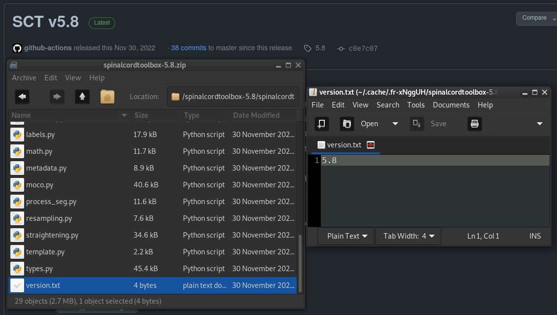Installation failure: Invalid version: 'dev' · Issue #4035 · spinalcordtoolbox/spinalcordtoolbox ...