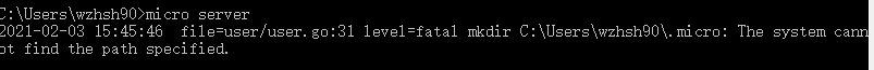 level=fatal mkdir xxxx\.micro: The system cannot find the path specified. · Issue #2115 · micro ...