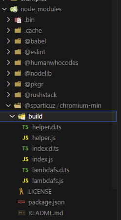 [BUG] · Issue #49 · Sparticuz/chromium · GitHub