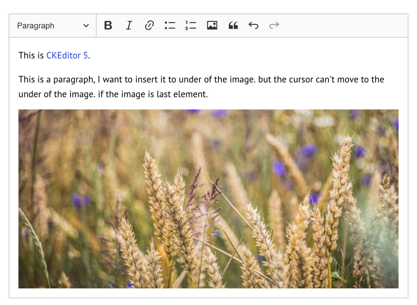 How to insert a new paragraph under the image · Issue #4336 · ckeditor ...