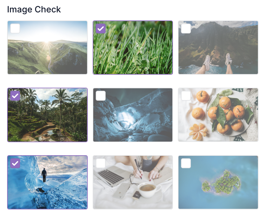 Feature Create A Radio Button Version Of Image Check Instead Of Using Checkboxes · Issue