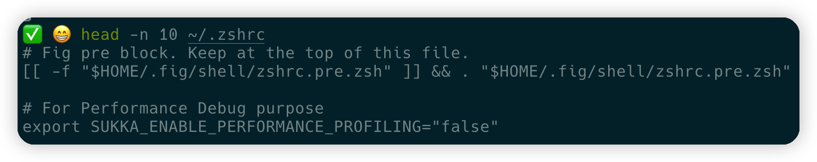 Fig Cant Work · Issue 1564 · Withfigfig · Github