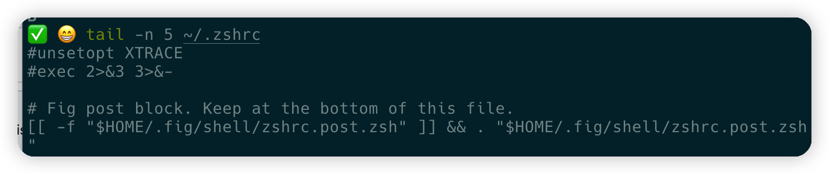 Fig can't work · Issue #1564 · withfig/fig · GitHub