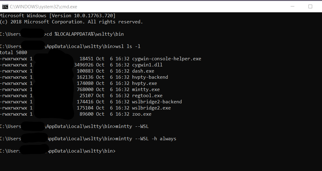 Window closes without error message · Issue #194 · mintty/wsltty · GitHub