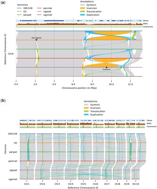 Can i plot the centromere region? · Issue #64 · schneebergerlab/plotsr · GitHub