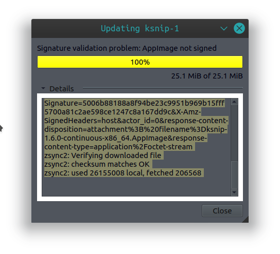 AppImage update fails with "None of the artifacts matched the pattern in the update information ...