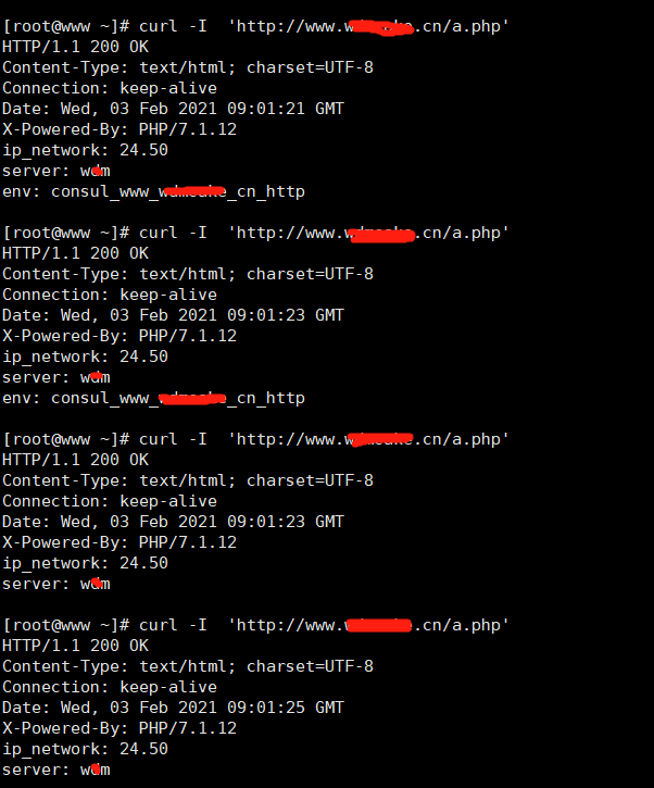 APISIX found that upstream reported 500 error through consul service · Issue #3486 · apache ...