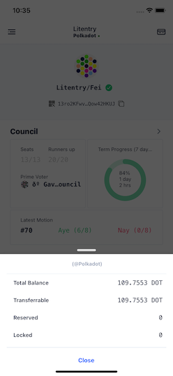 Milestone 1 · Issue #49 · litentry/archived-litentry-mobile-app · GitHub