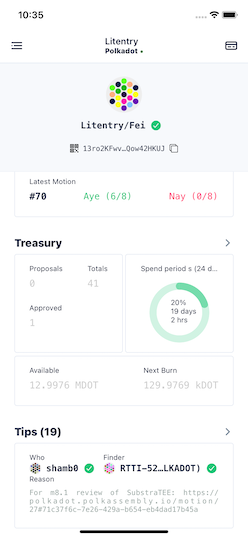 Milestone 1 · Issue #49 · litentry/archived-litentry-mobile-app · GitHub