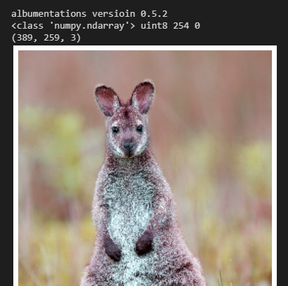 Wrong result of ColorJitter when the dtype of input image is float32 ...