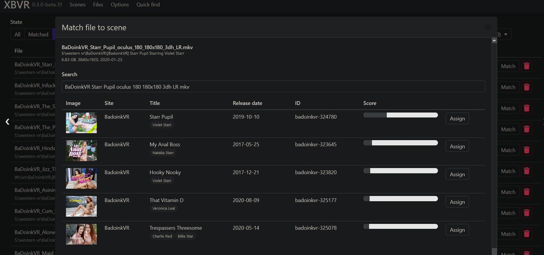 Suggestion for Better File Matching · Issue #342 · xbapps/xbvr · GitHub