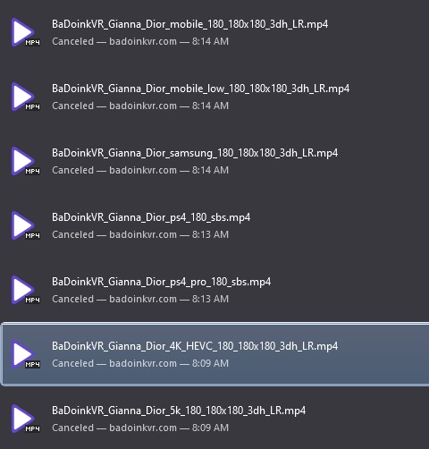 BadoinkVR Network Filenames · Issue #367 · xbapps/xbvr · GitHub