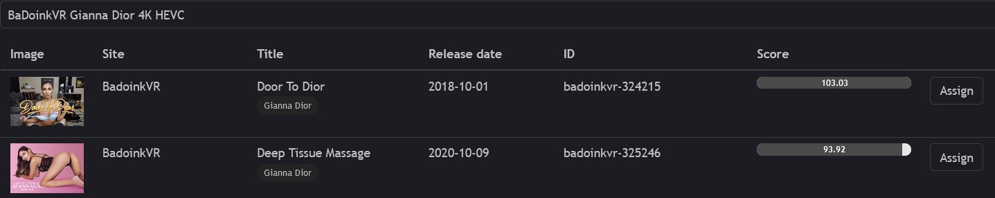 BadoinkVR Network Filenames · Issue #367 · xbapps/xbvr · GitHub