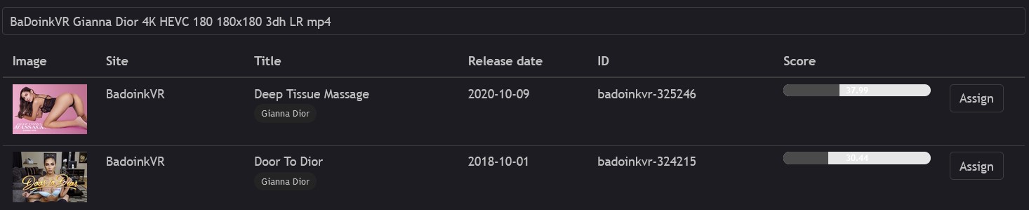 BadoinkVR Network Filenames · Issue #367 · xbapps/xbvr · GitHub