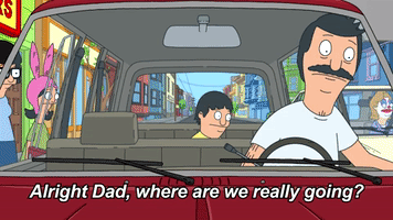 GitHub - HanaZubovic/python-api-challenge