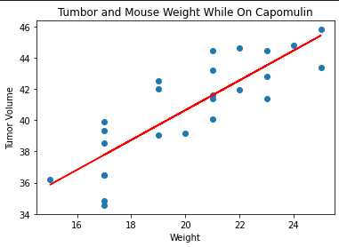 GitHub - HanaZubovic/lab-mice-tumor-growth-analysis: Using matplotlib and pandas to calculate ...