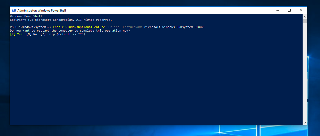 npm install error/failed · Issue #236 · magento/pwa-studio · GitHub
