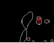 Deepcell predicts huge and empty cells in data · Issue #465 · vanvalenlab/deepcell-tf · GitHub