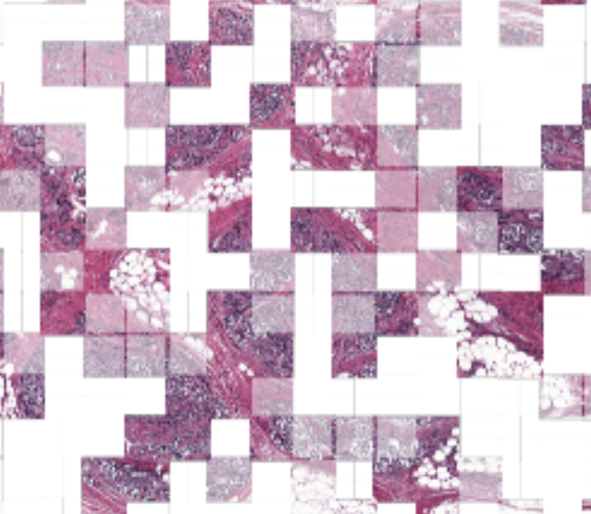 Image Has Many Blank Tiles In It · Issue 426 · Openslide Openslide · Github