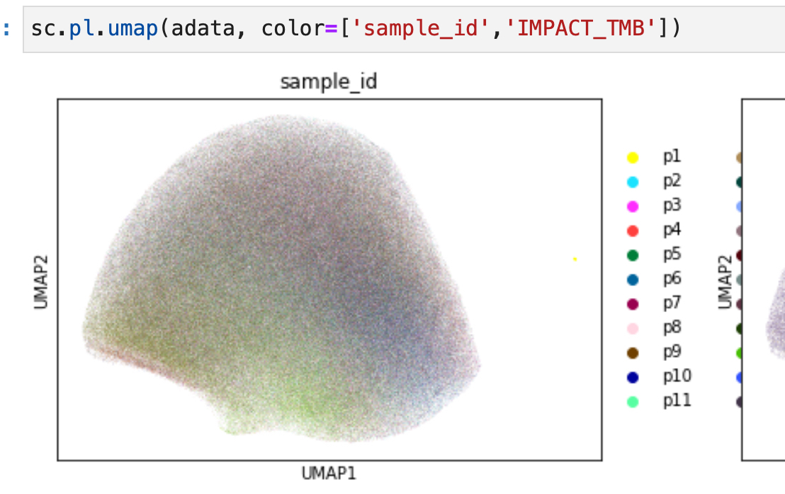 The legend overlap with figures in plot function · Issue #1312 · scverse/scanpy · GitHub