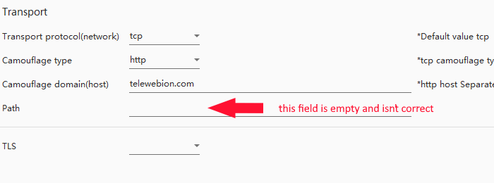 Bug Path Field Is Empty · Issue 3964 · 2dustv2rayn · Github