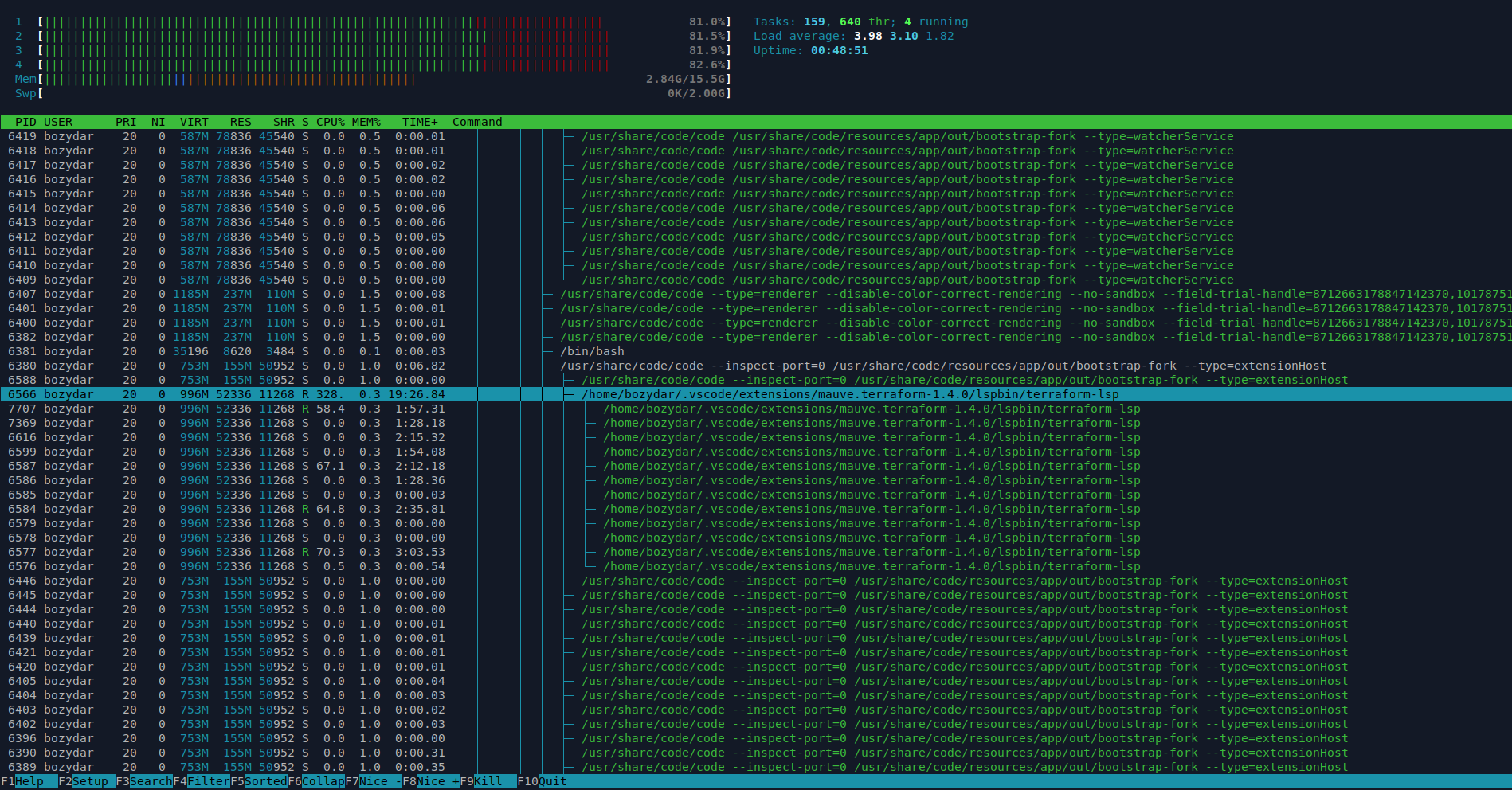 waste of time · Issue #249 · hashicorp/vscode-terraform · GitHub