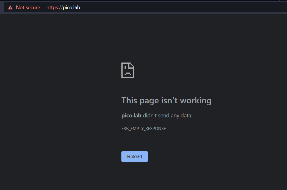 Container doesn't run behind Nginx Proxy Manager · Issue #361 · mtlynch/picoshare · GitHub