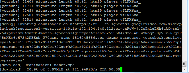 youtube-dl is slow in downloading playlist · Issue #15302 · ytdl-org ...