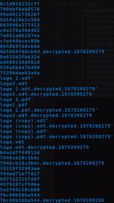Bug Cannot Delete Not Encrypted Files After Upgrade From V23 To V24