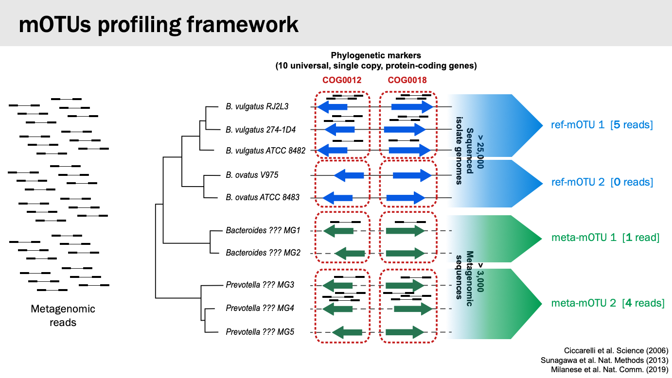 tax level clarification · Issue #41 · motu-tool/mOTUs · GitHub