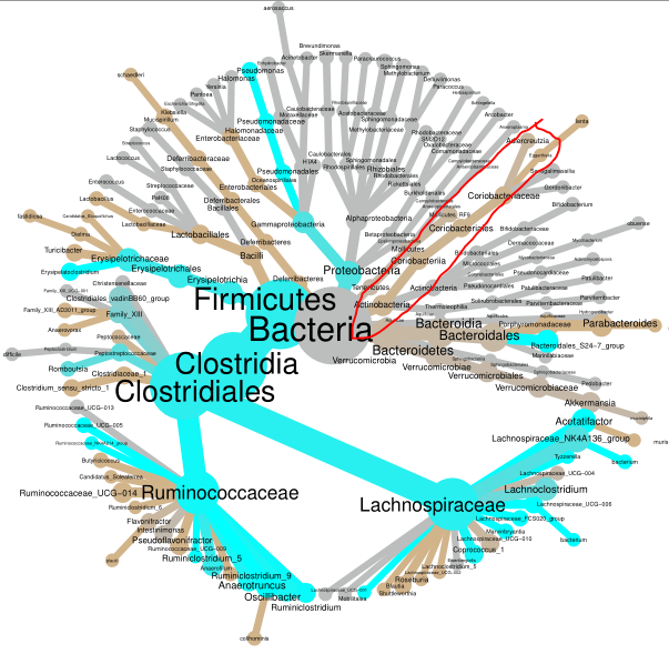 node_color_interval and edge_color_interval not automatically set to ...