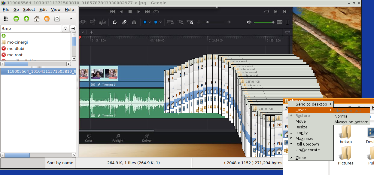 [bug] scrolling image below an ontop layered window · Issue #804 · BestImageViewer/geeqie · GitHub