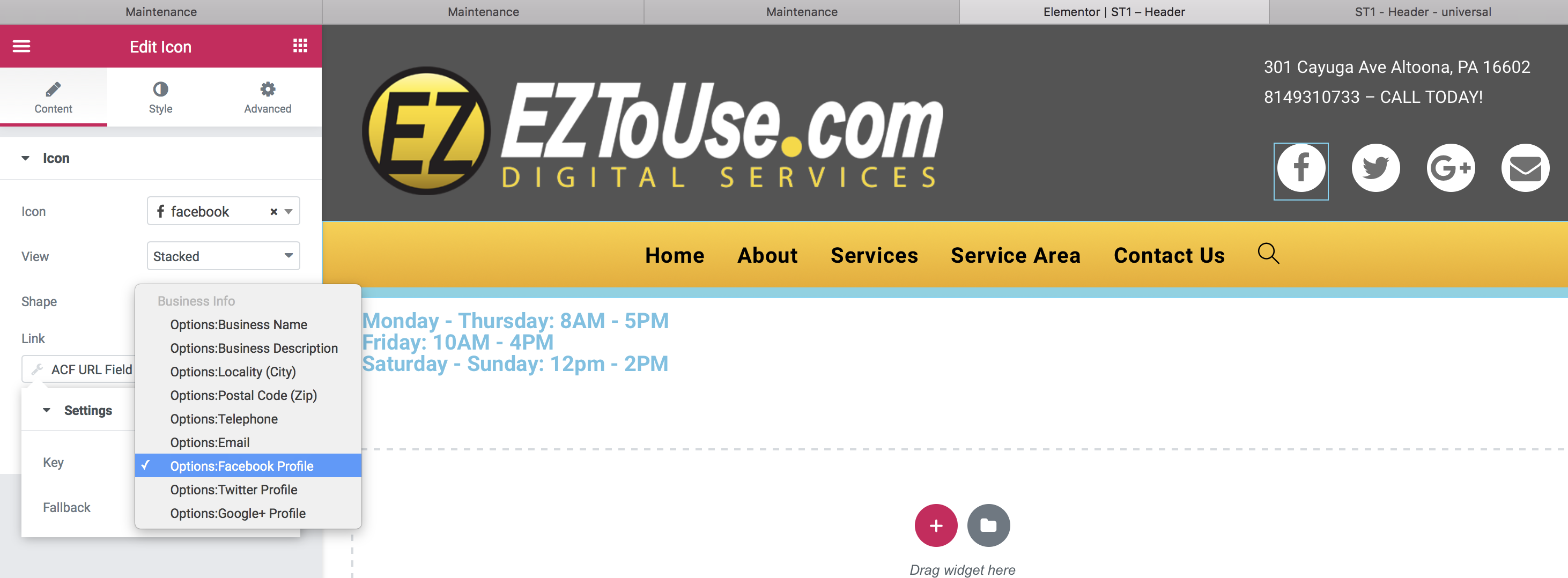 ACF Options page fields don't show nothing. · Issue #5329 · elementor/elementor · GitHub