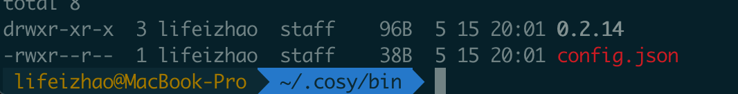 IDEA 2023.1.1 启动时cosy报错 java.lang.Throwable: Do not use constructor injection (requestorClass ...