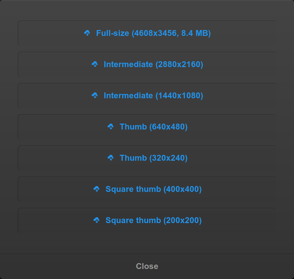 About Download medium, small size. · Issue #119 · LycheeOrg/Lychee-front · GitHub