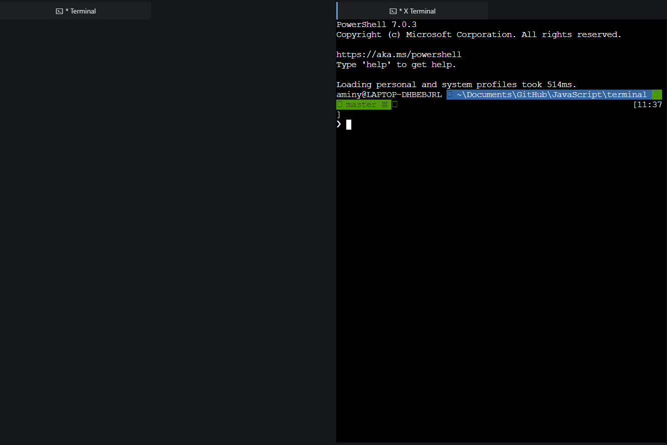 Nothing shows up for me · Issue #5 · atom-community/terminal · GitHub