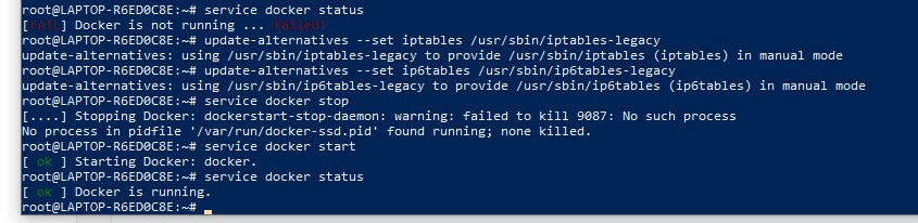 docker service will not start on Debian on wsl2 · Discussion #4872 ...